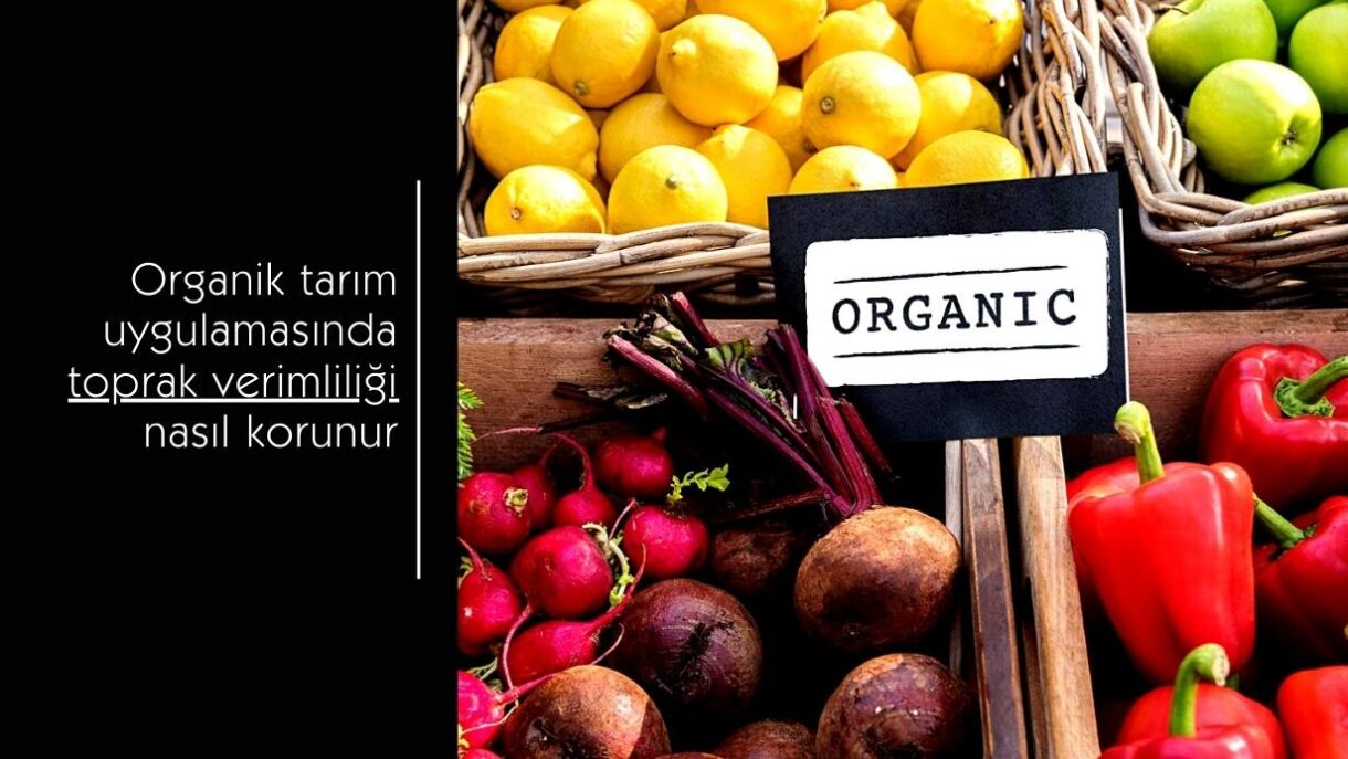 Organik tarım uygulamasında toprak verimliliği nasıl korunur